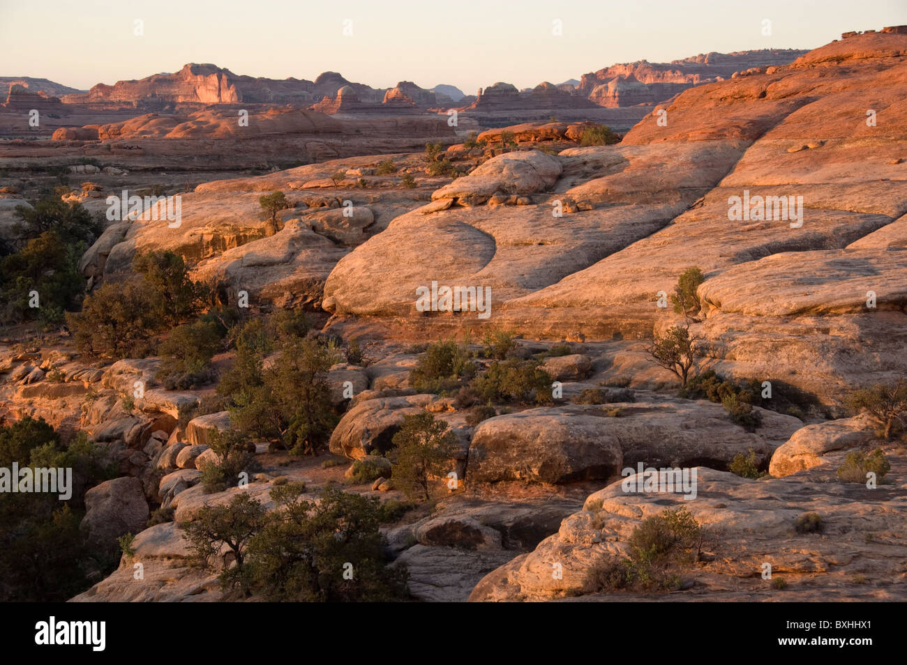 Elk289-1537 Utah Canyonlands National Park Needles District sunrise ...