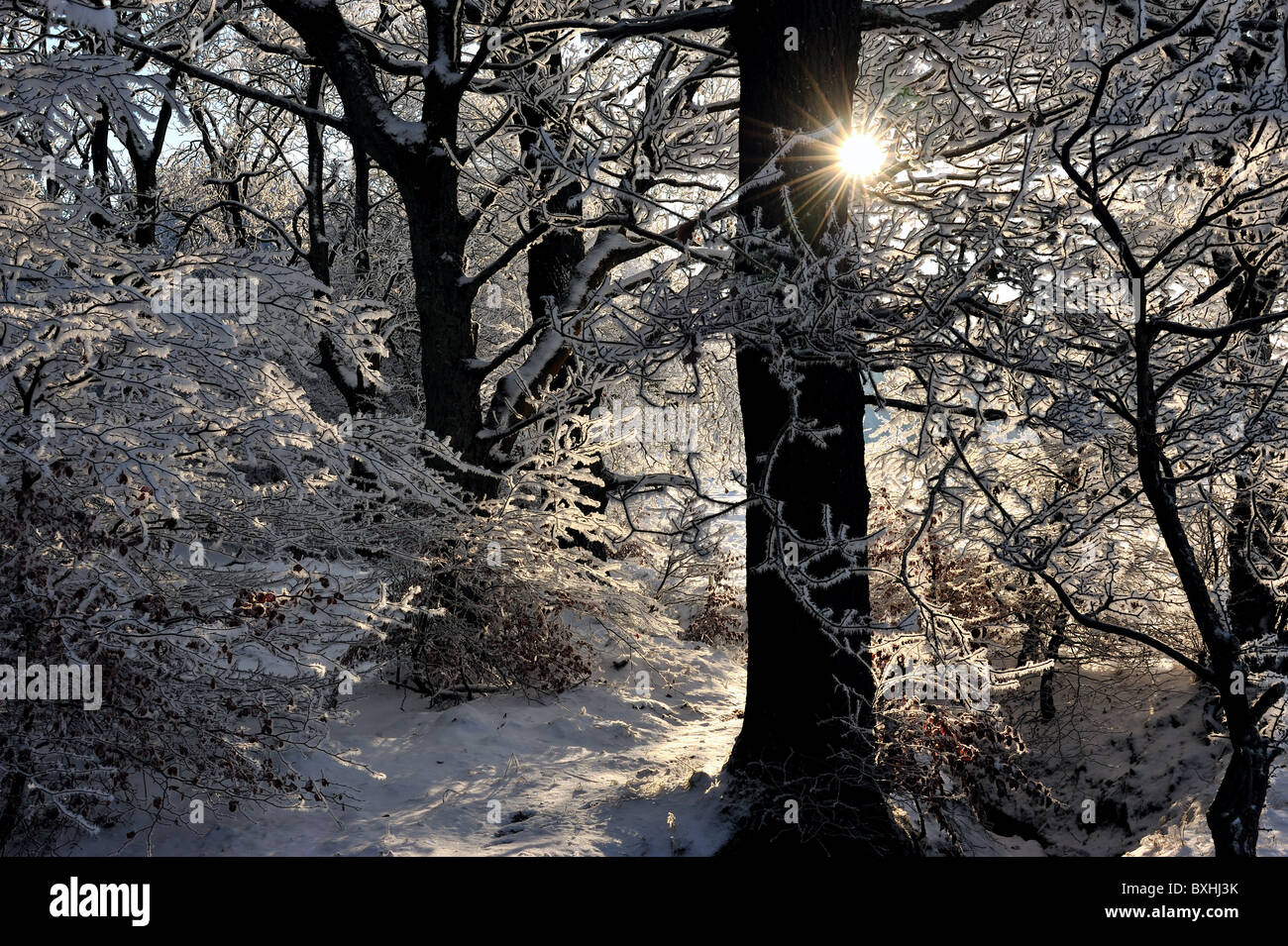 Harshest hi-res stock photography and images - Alamy