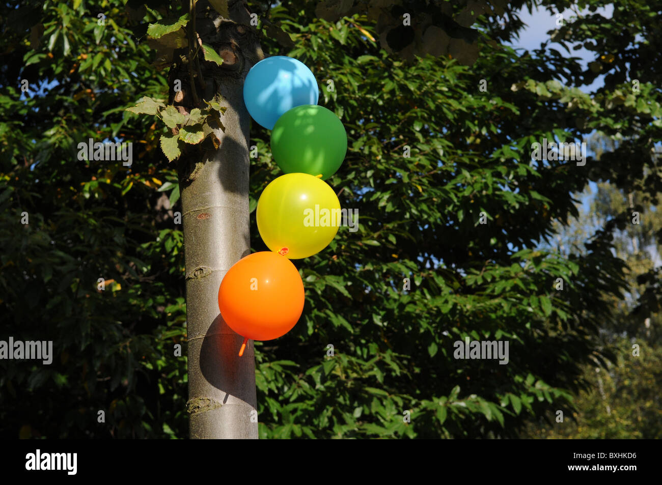 colorful balloons in tree Stock Photo - Alamy