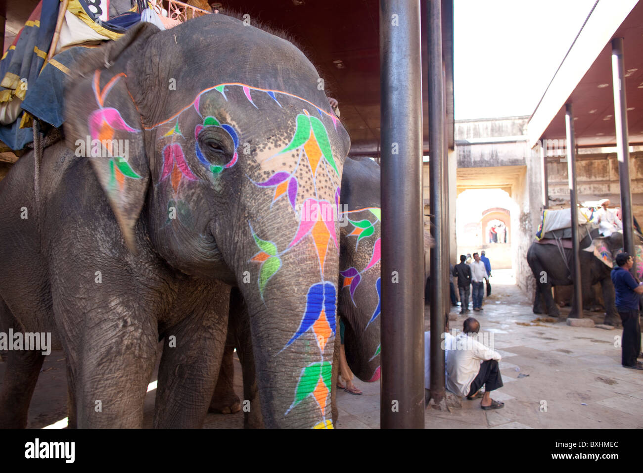 Elephant festival in Jaipur, India Stock Photo - Alamy