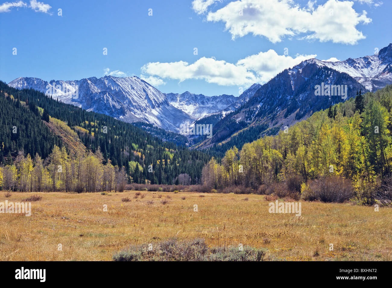 Autumn mountain meadow with Elk Mountains in the background, end of ...