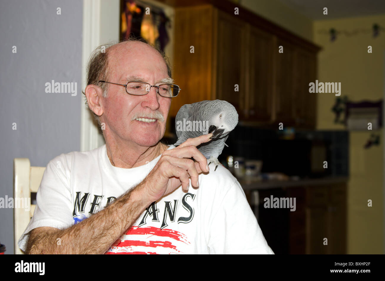 Pet parrot hi-res stock photography and images - Alamy
