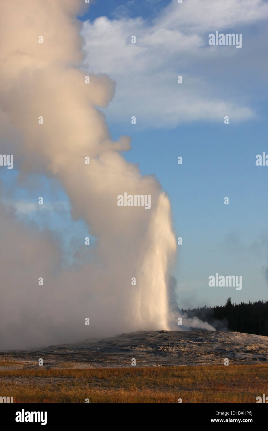Old Faithful Geyser Stock Photo - Alamy