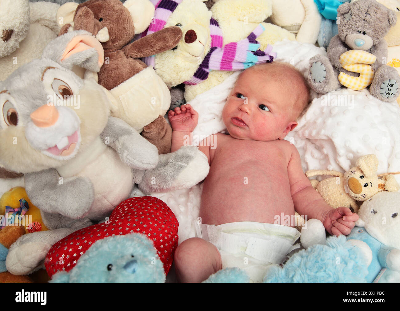 Child surrounded soft toys hi-res stock photography and images - Alamy
