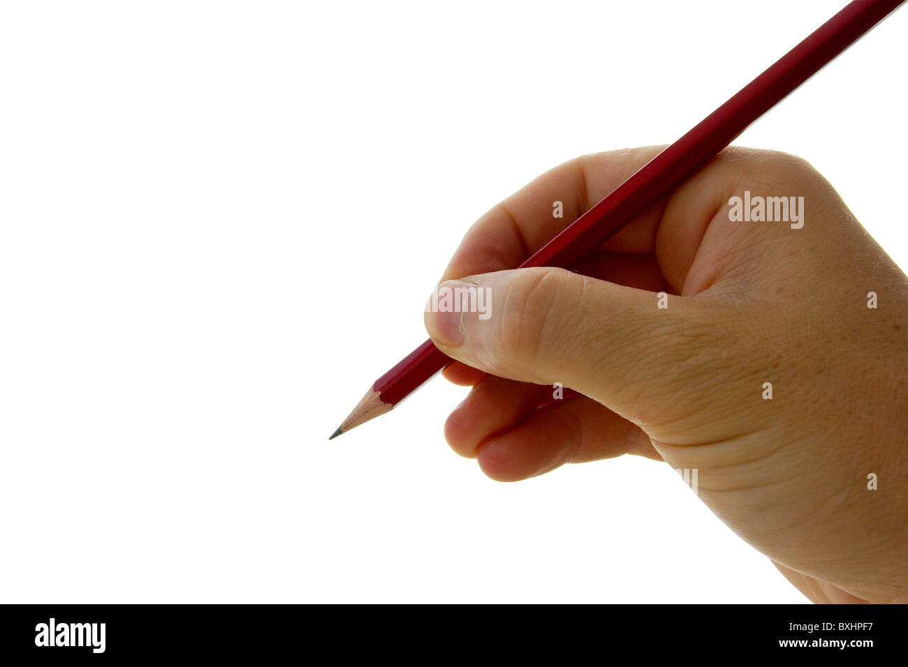 Hand holding a sharp pencil isolated on white Stock Photo - Alamy