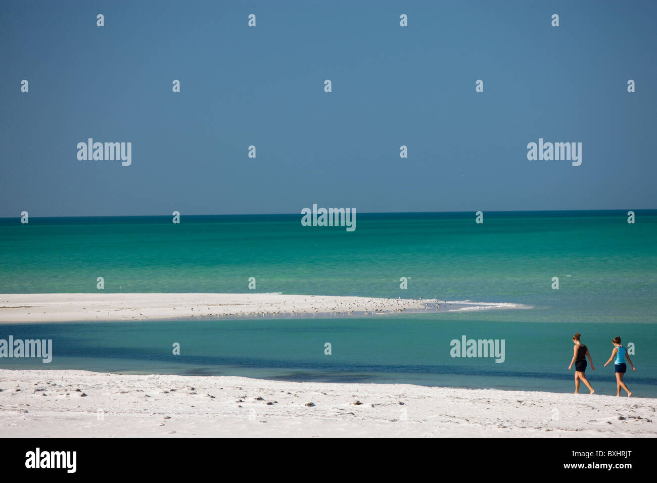 Anna maria island hi-res stock photography and images - Alamy