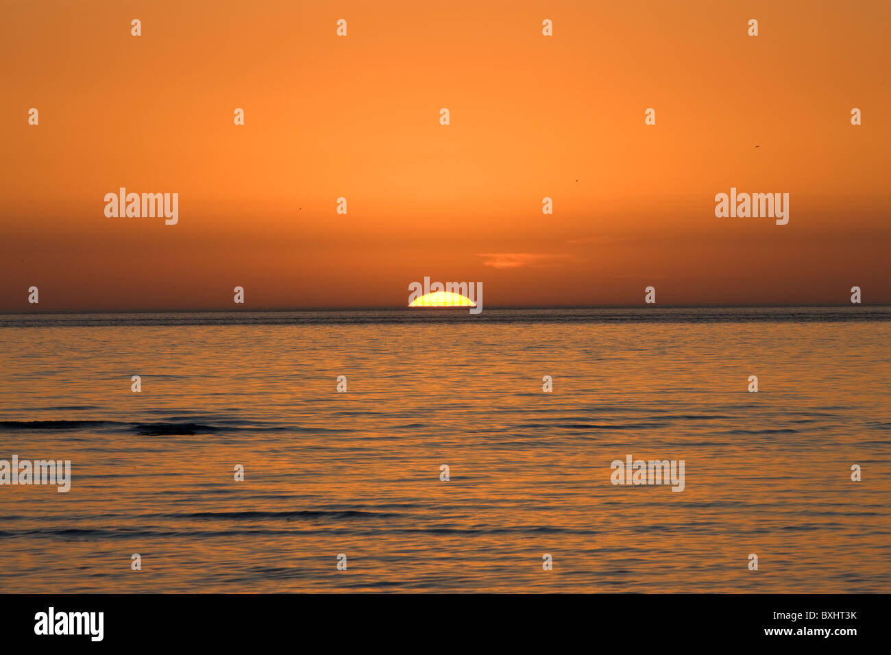 Florida gulf coast sunset picture hi-res stock photography and images ...