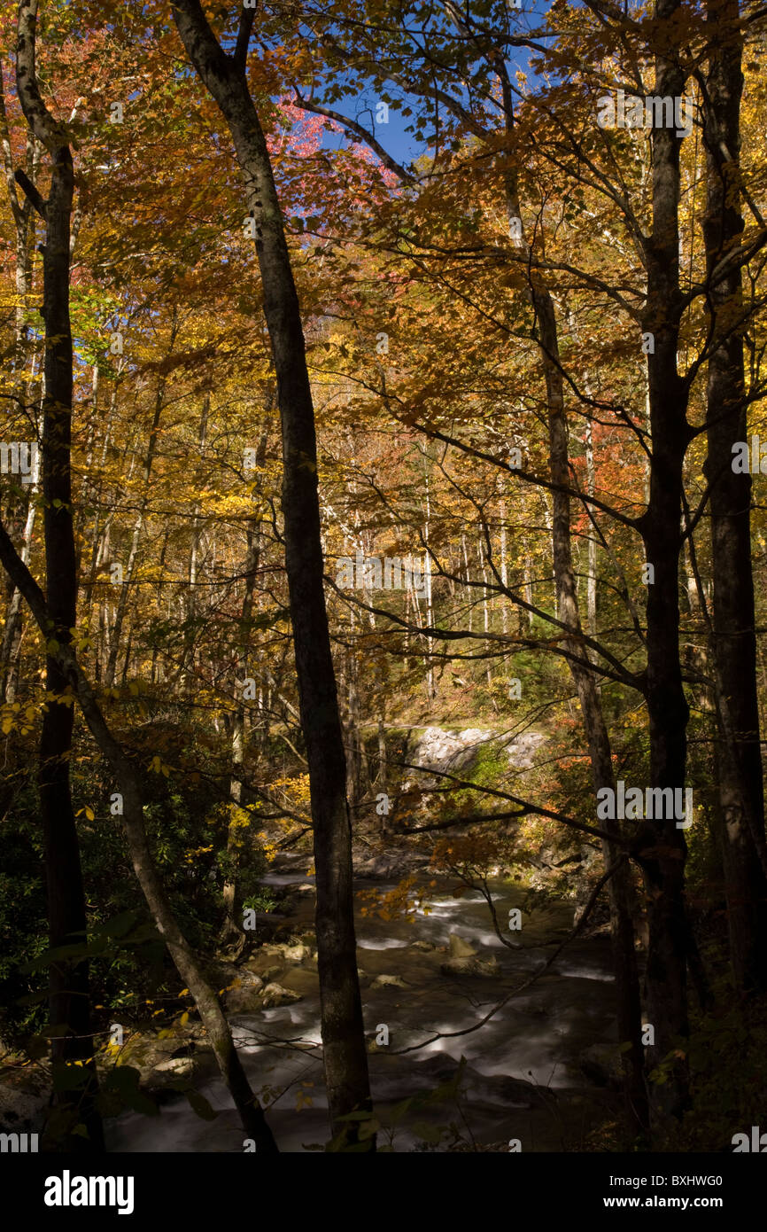 Autumn, Tremont, Great Smoky Mountains National Park, TN Stock Photo ...