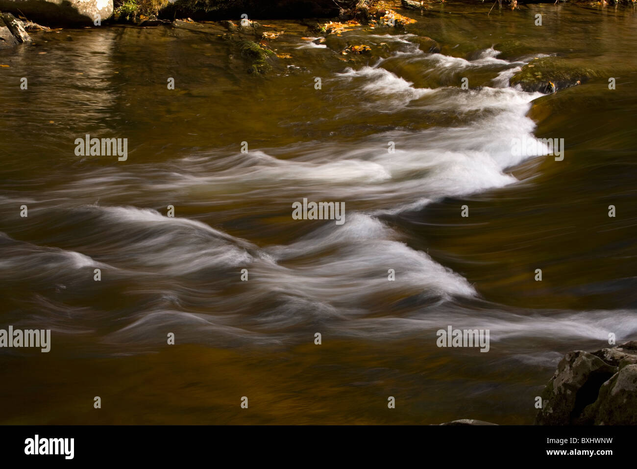 Flowing Water, Autumn, Tellico River, Cherokee National Forest, TN ...