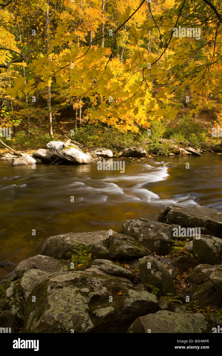 Autumn, Tellico River, Cherokee National Forest, TN Stock Photo - Alamy