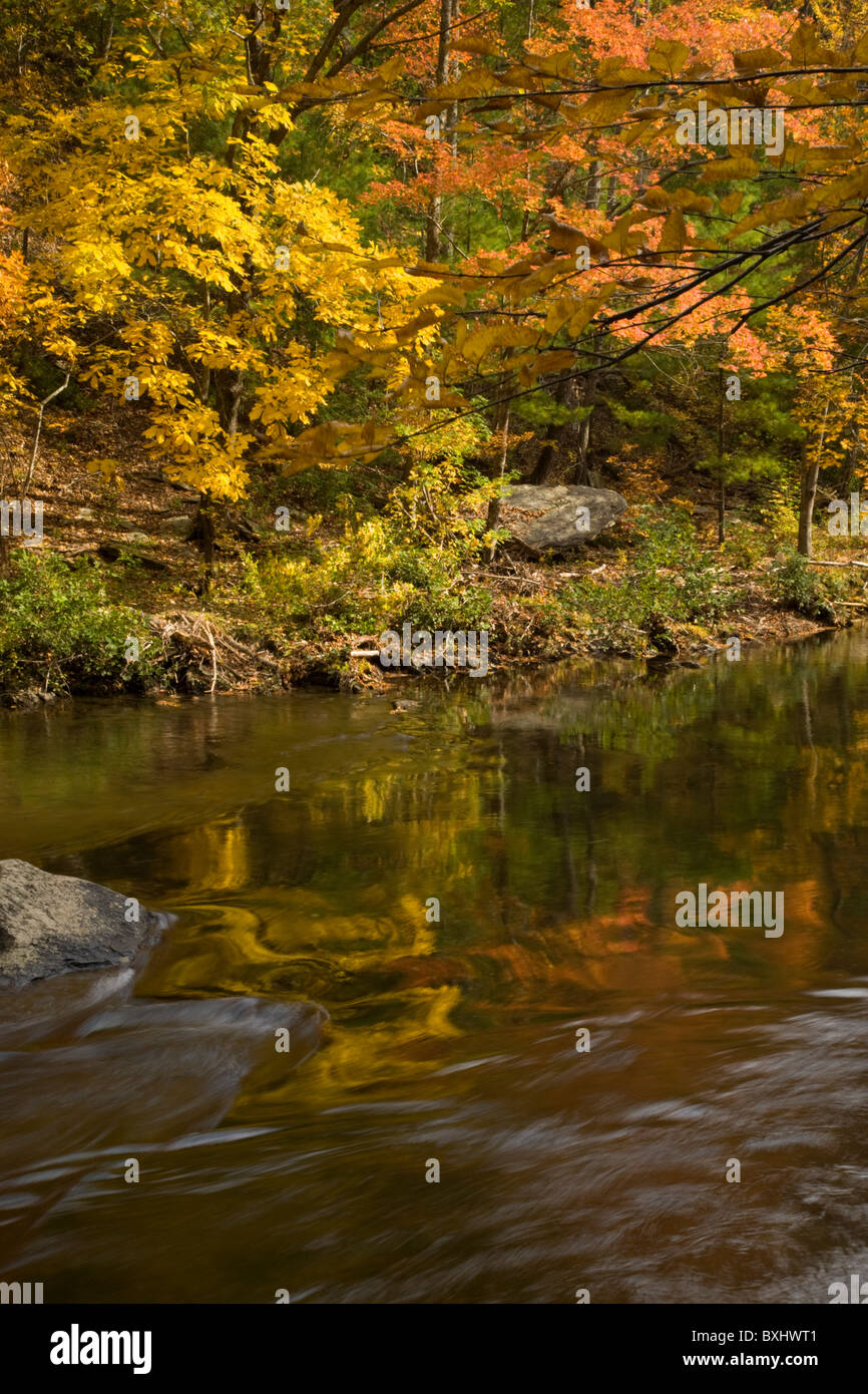 Autumn, Tellico River, Cherokee National Forest, TN Stock Photo - Alamy