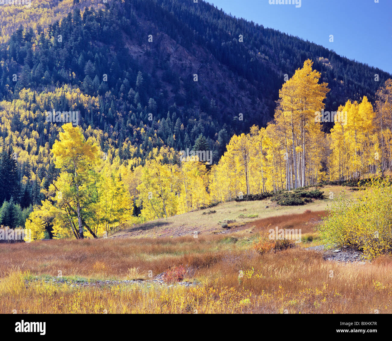 Grove end road hi-res stock photography and images - Alamy