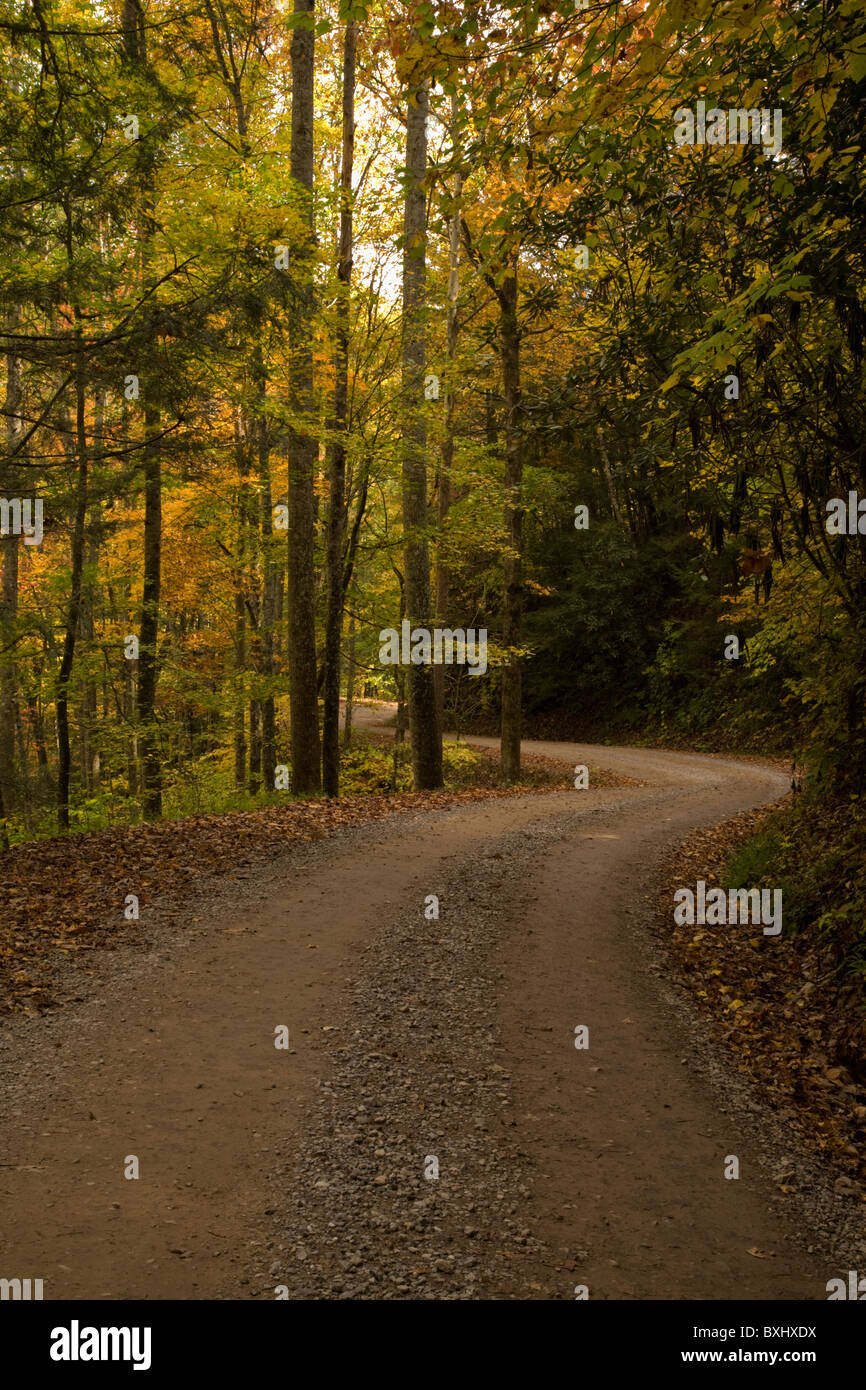 Autumn, Cherokee National Forest Stock Photo - Alamy