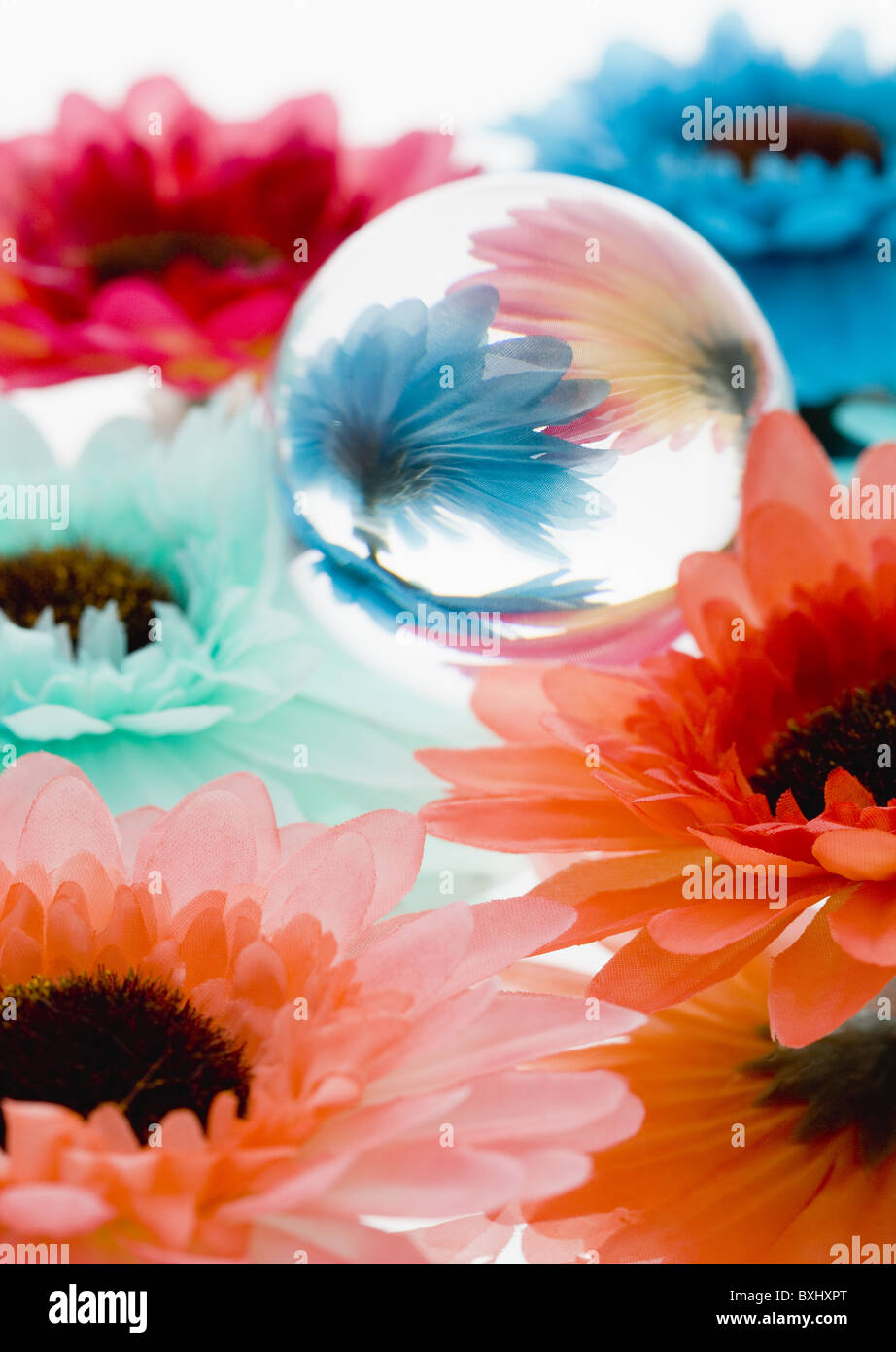 Flowers reflected on a sphere Stock Photo - Alamy