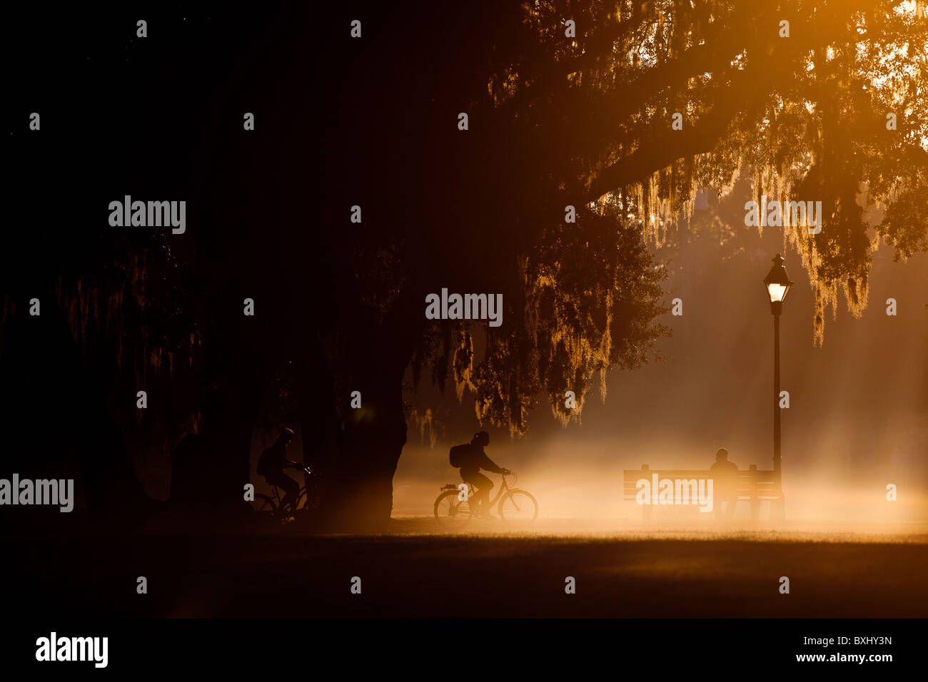 Morning fog in historic Forsyth Park in Savannah, Georgia, USA Stock ...