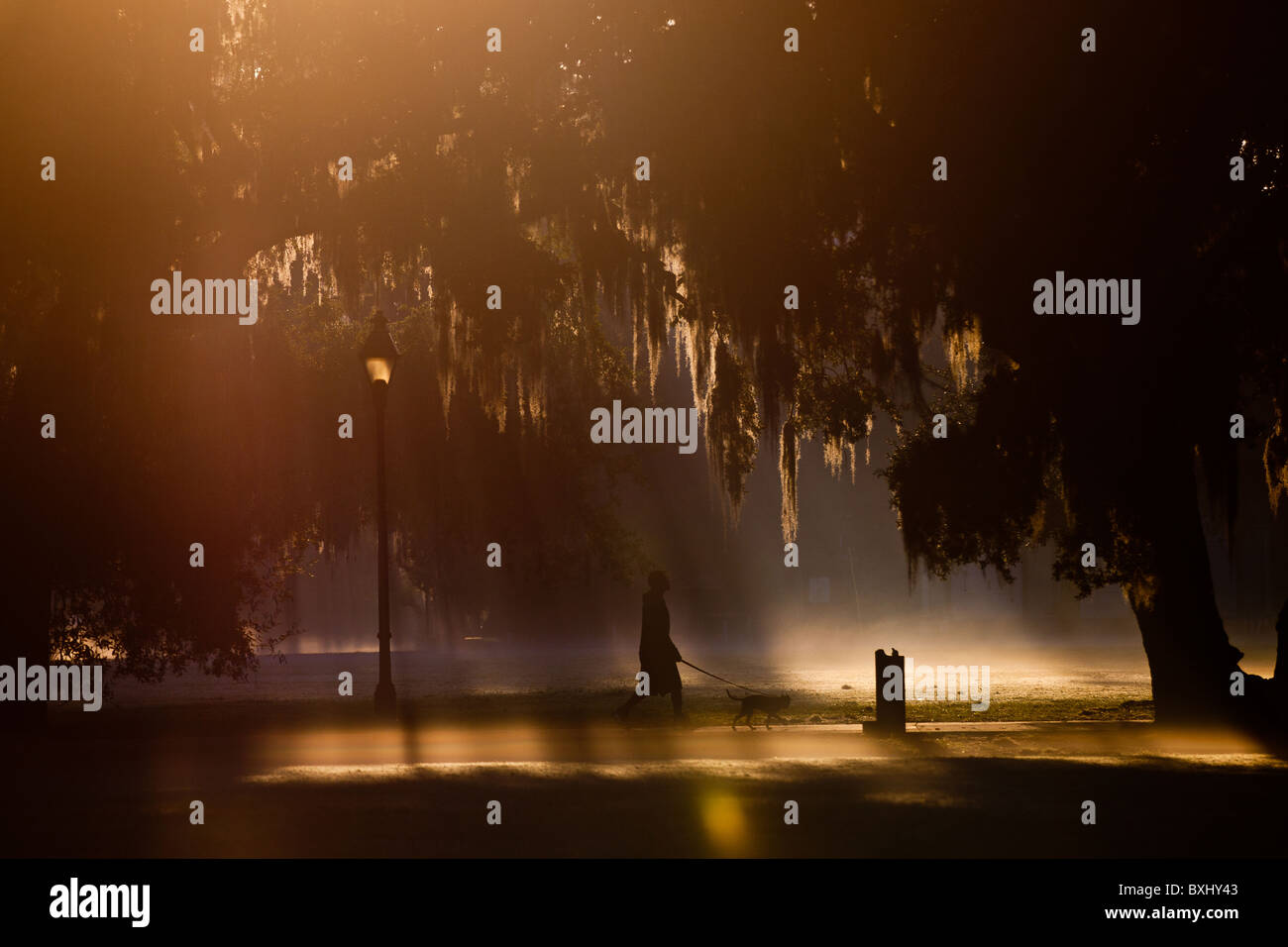 Morning fog in historic Forsyth Park in Savannah, Georgia, USA Stock ...