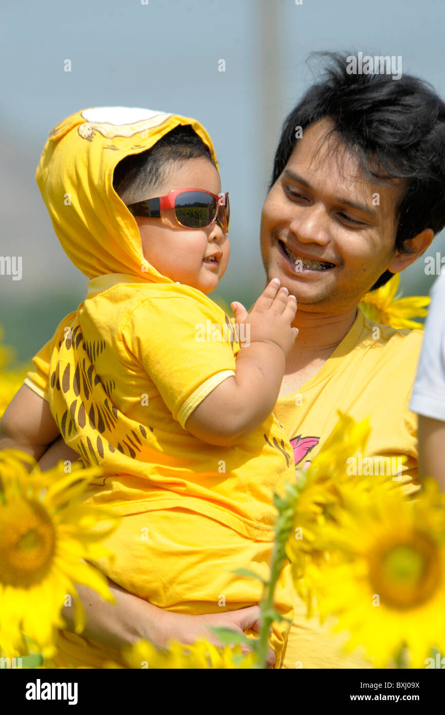 little thai boy with his father at the Sunflower flields , Lopburi ...