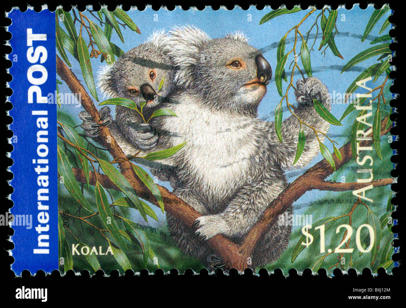 Airmail stamp from Australia with picture of a koala bear Stock Photo ...