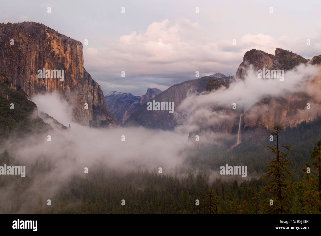 Fog moving into Yosemite Valley, California, USA Stock Photo - Alamy