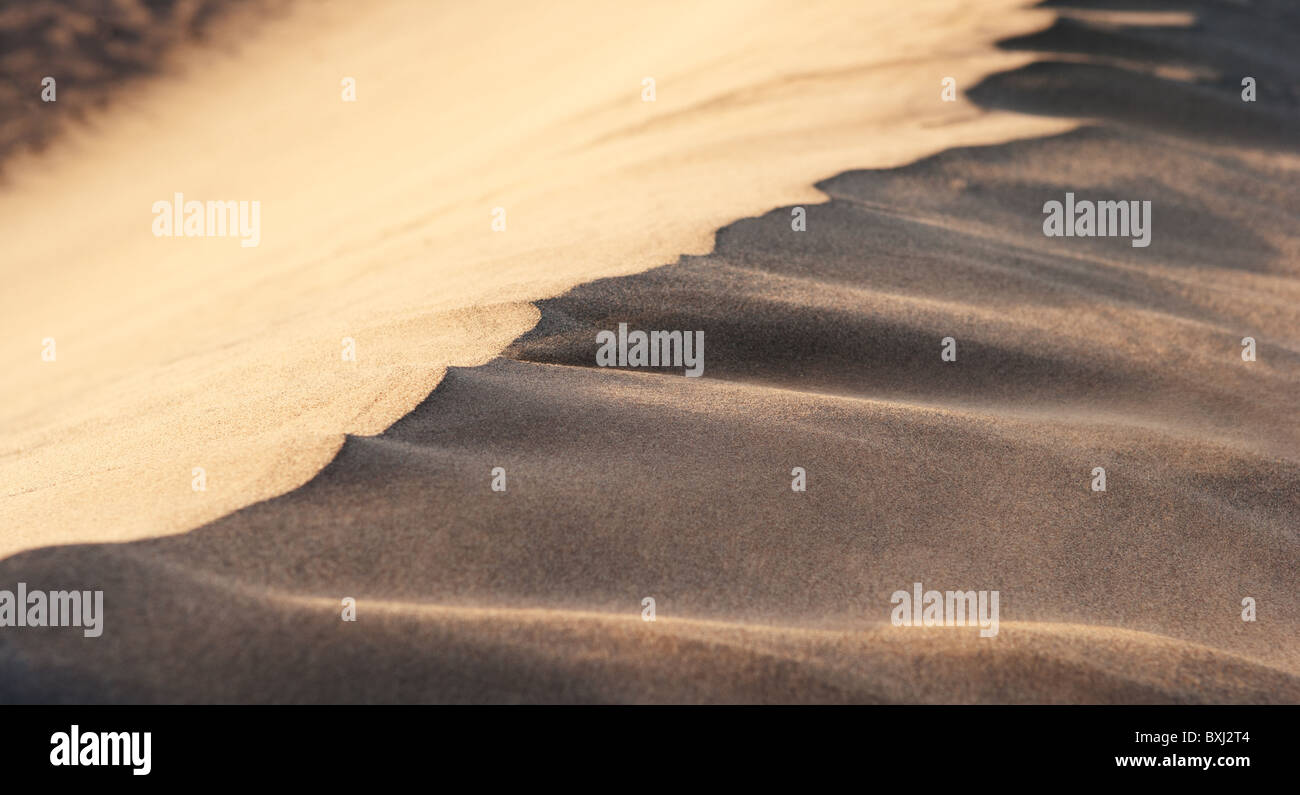 Crest of sand dunes (Ergs) in Sahara desert caused by aeolian processes ...