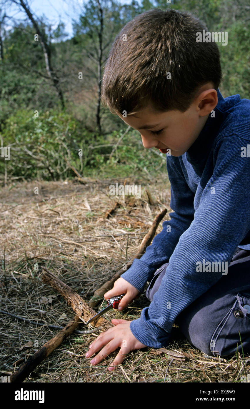 Young boy cutting a tree branch with a pocket knife Stock Photo - Alamy