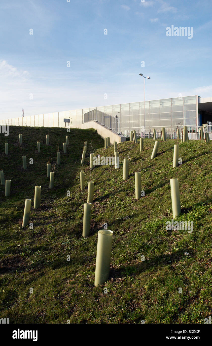 Tree protectors hi-res stock photography and images - Alamy