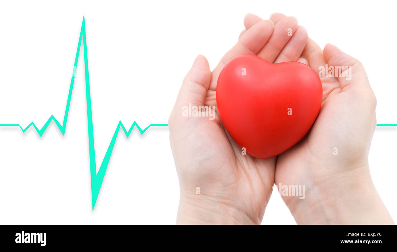 a red heart in caring female hands, a cardiogram in the background ...