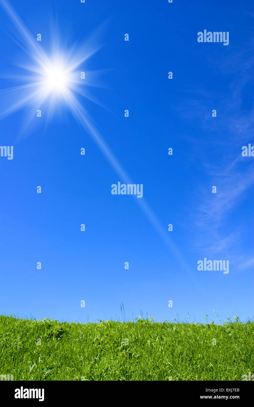 Lush green grass and sun in blue sky Stock Photo - Alamy
