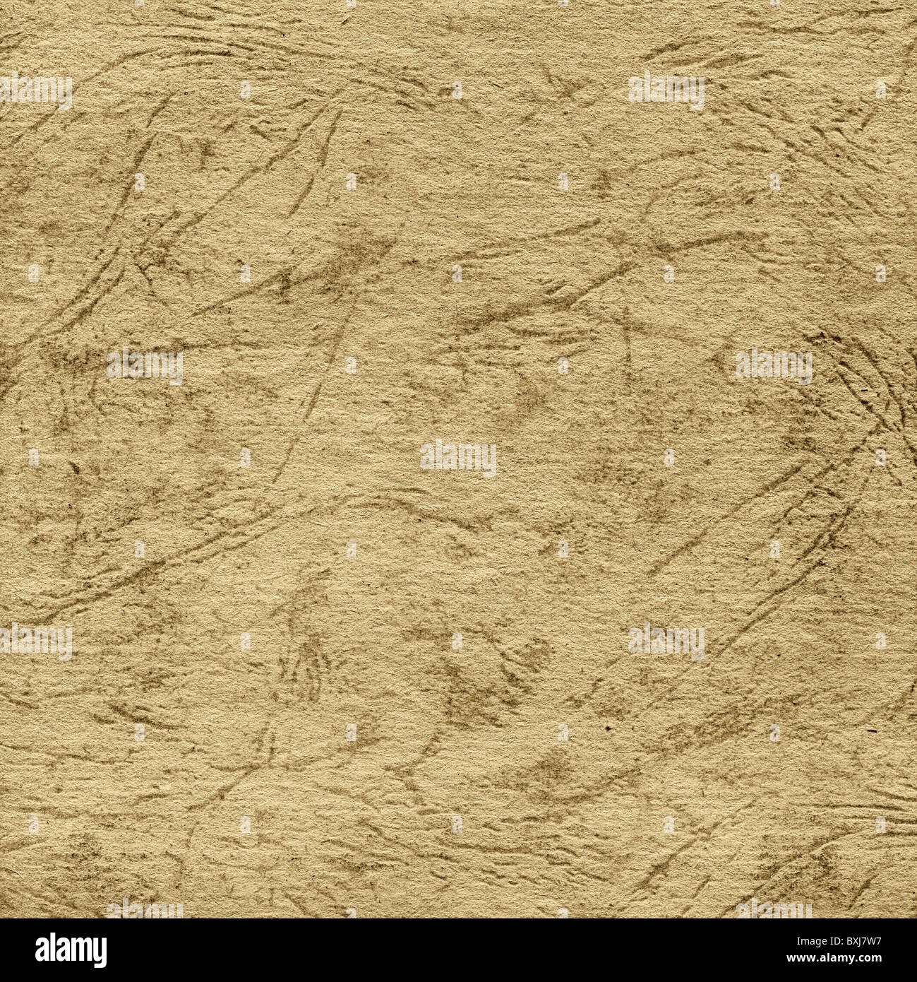 Actual texture hi-res stock photography and images - Alamy