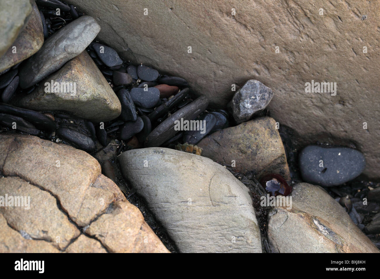Pattern of Rocks and pebbles at Kimmeridge Bay, Dorset, England, UK ...
