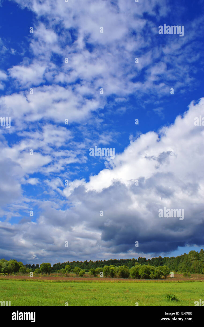 Summer landscape with blue sky Stock Photo - Alamy