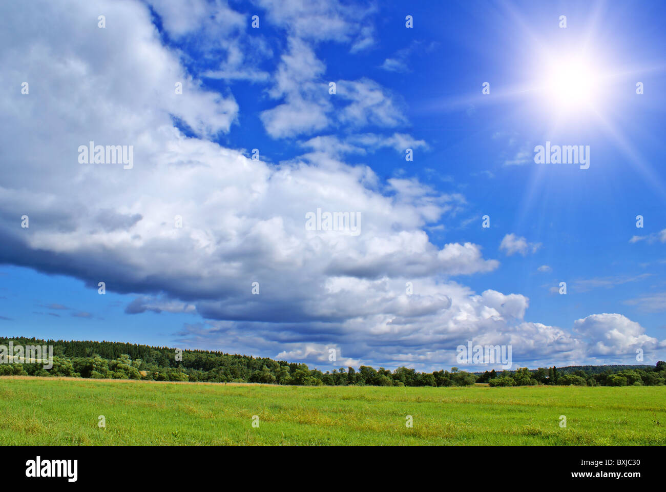 Summer landscape with cloudy sky Stock Photo - Alamy