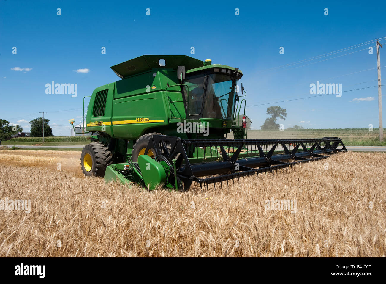 Combine harvesting wheat Stock Photo - Alamy