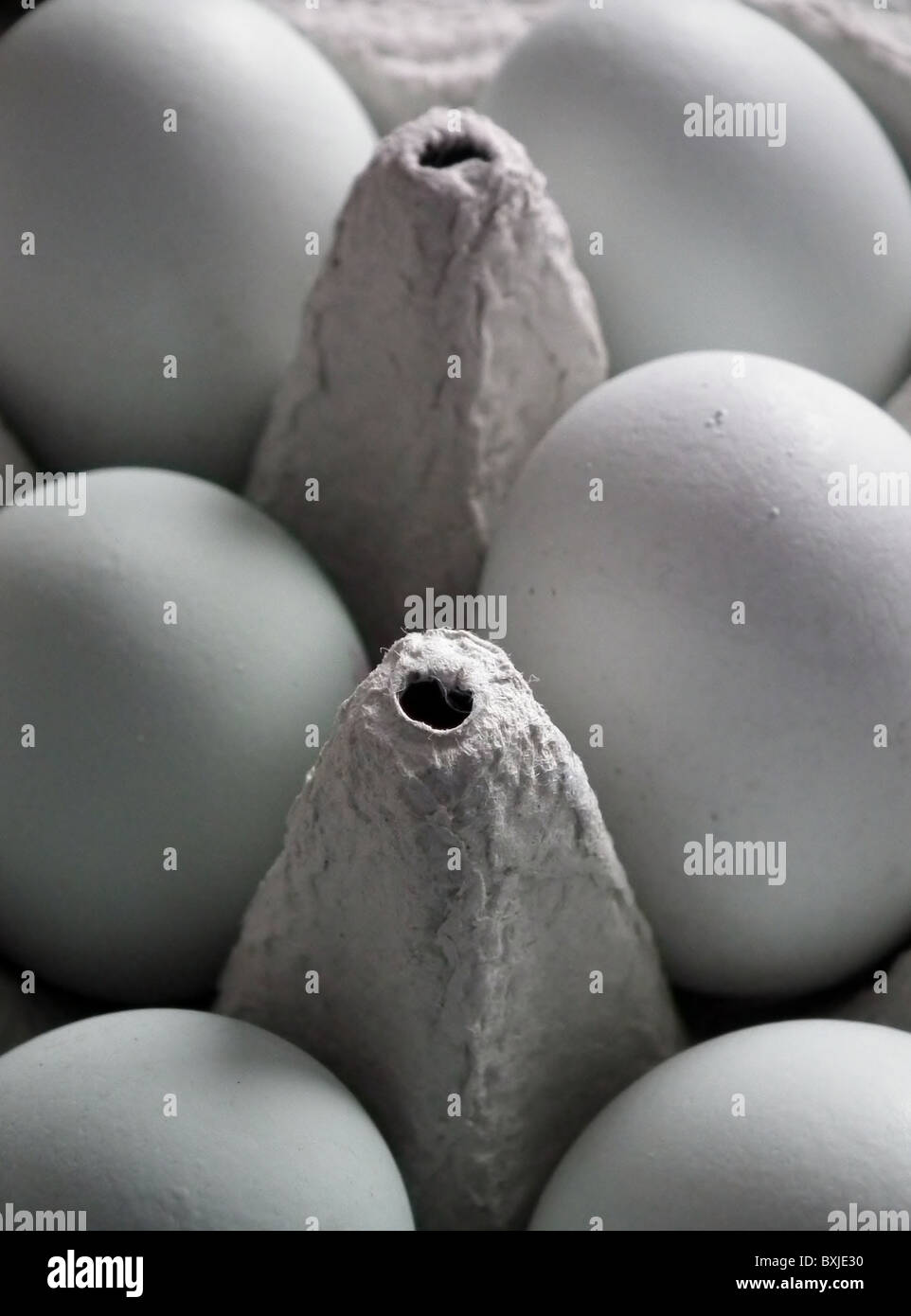 Blue-green eggs in a egg box Stock Photo - Alamy