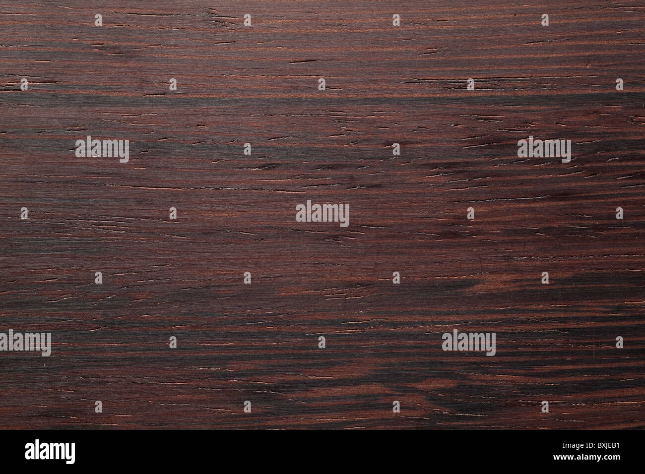 African ebony tree hi-res stock photography and images - Alamy