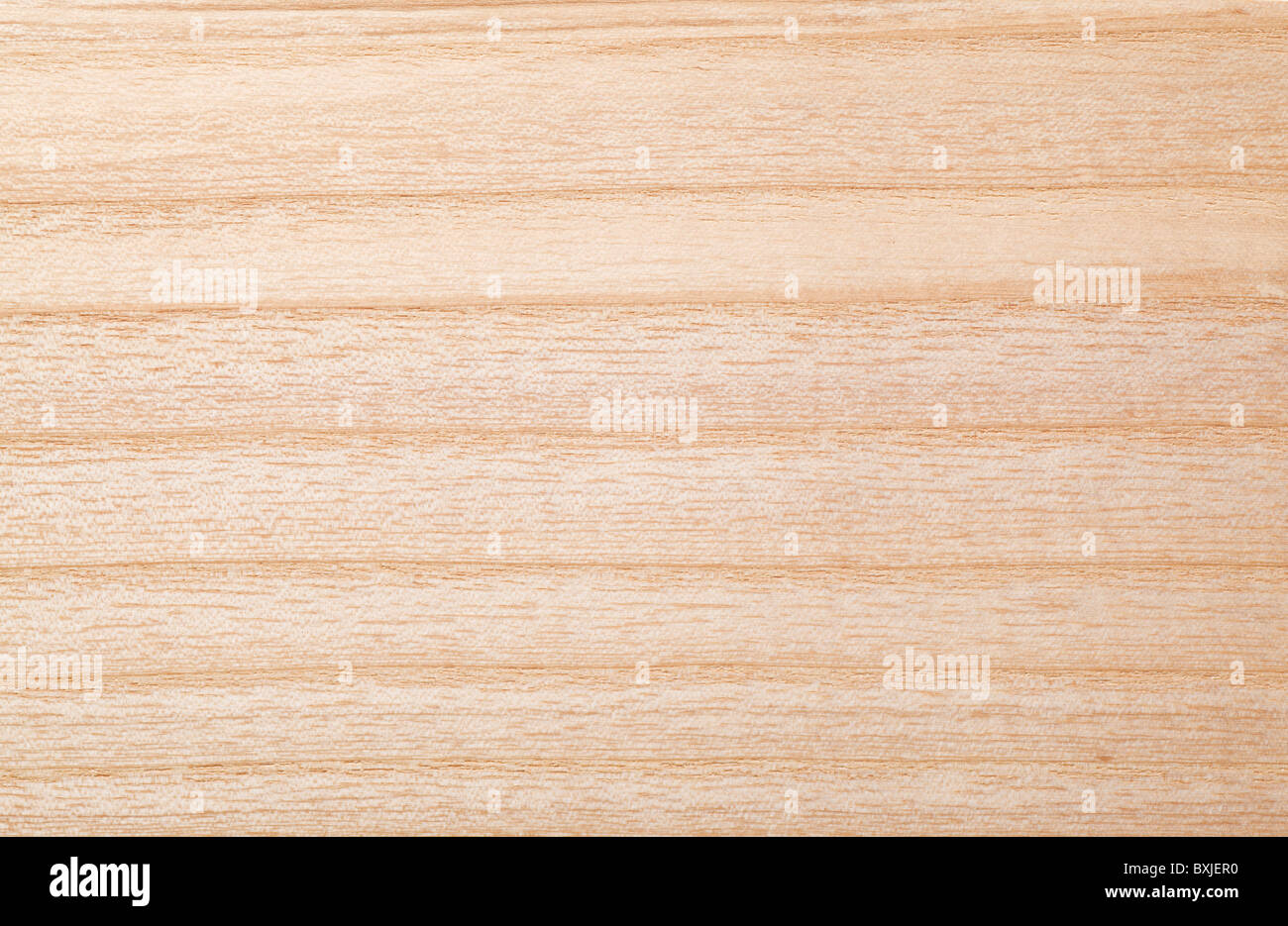 Ash Wood Grain Identification