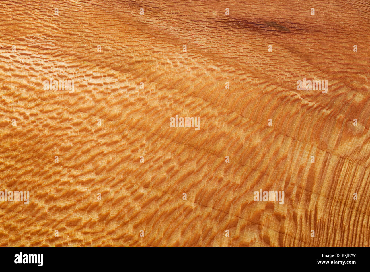 Planes Platanus wood texture Stock Photo - Alamy