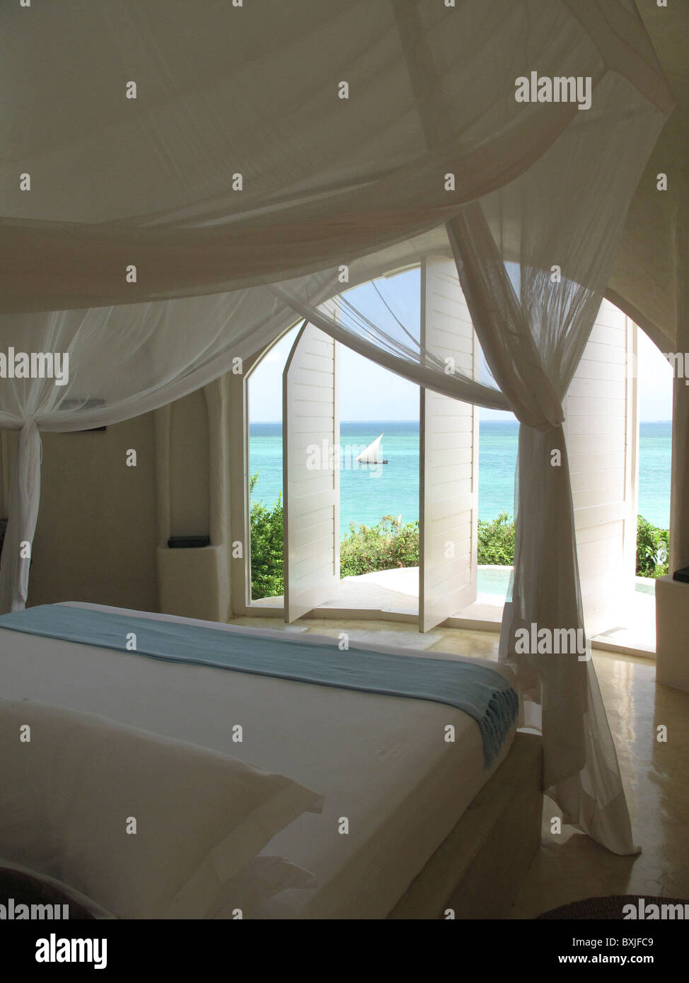 Ocean sea bed hi-res stock photography and images - Alamy