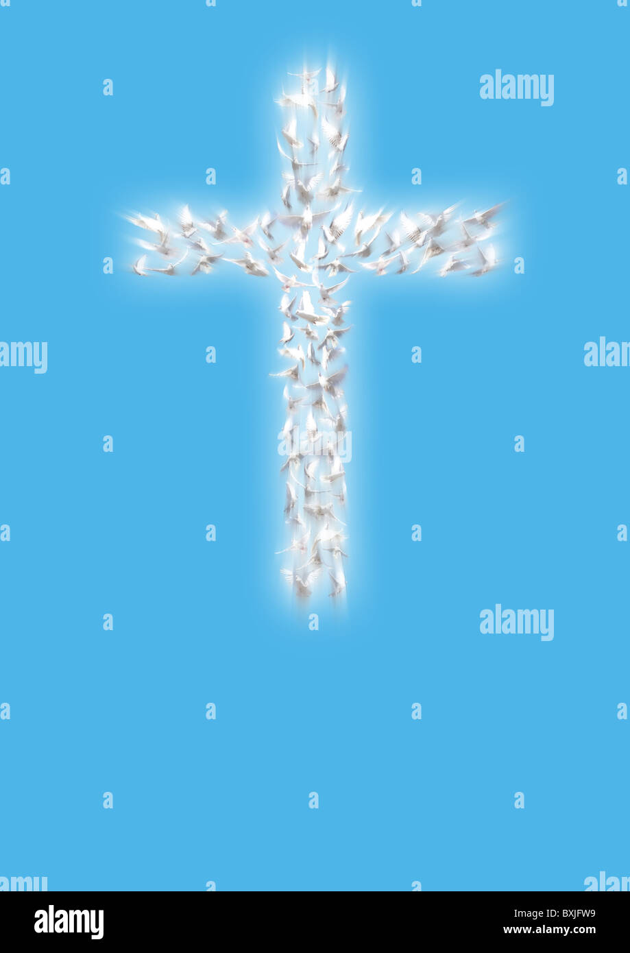 Dove Bird Christ Christian Stock Photos & Dove Bird Christ Christian ...