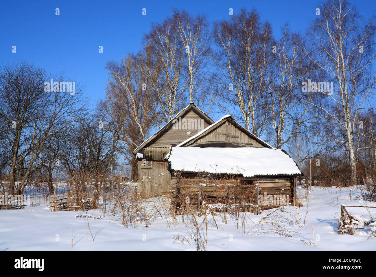 old rural house in wood Stock Photo - Alamy