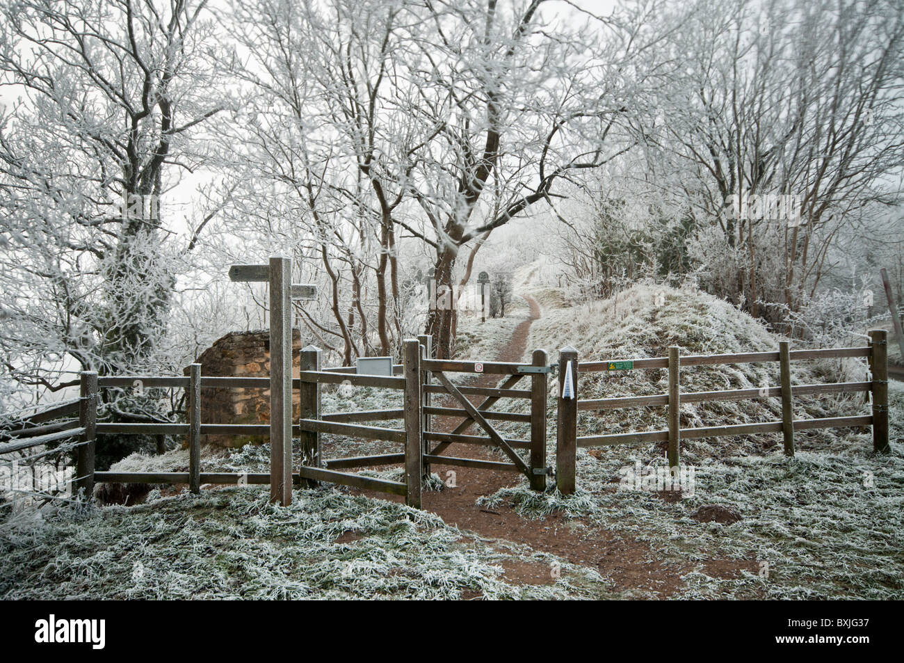Frost covered kissing gate with Cotswold Way sign, Haresfield Beacon ...