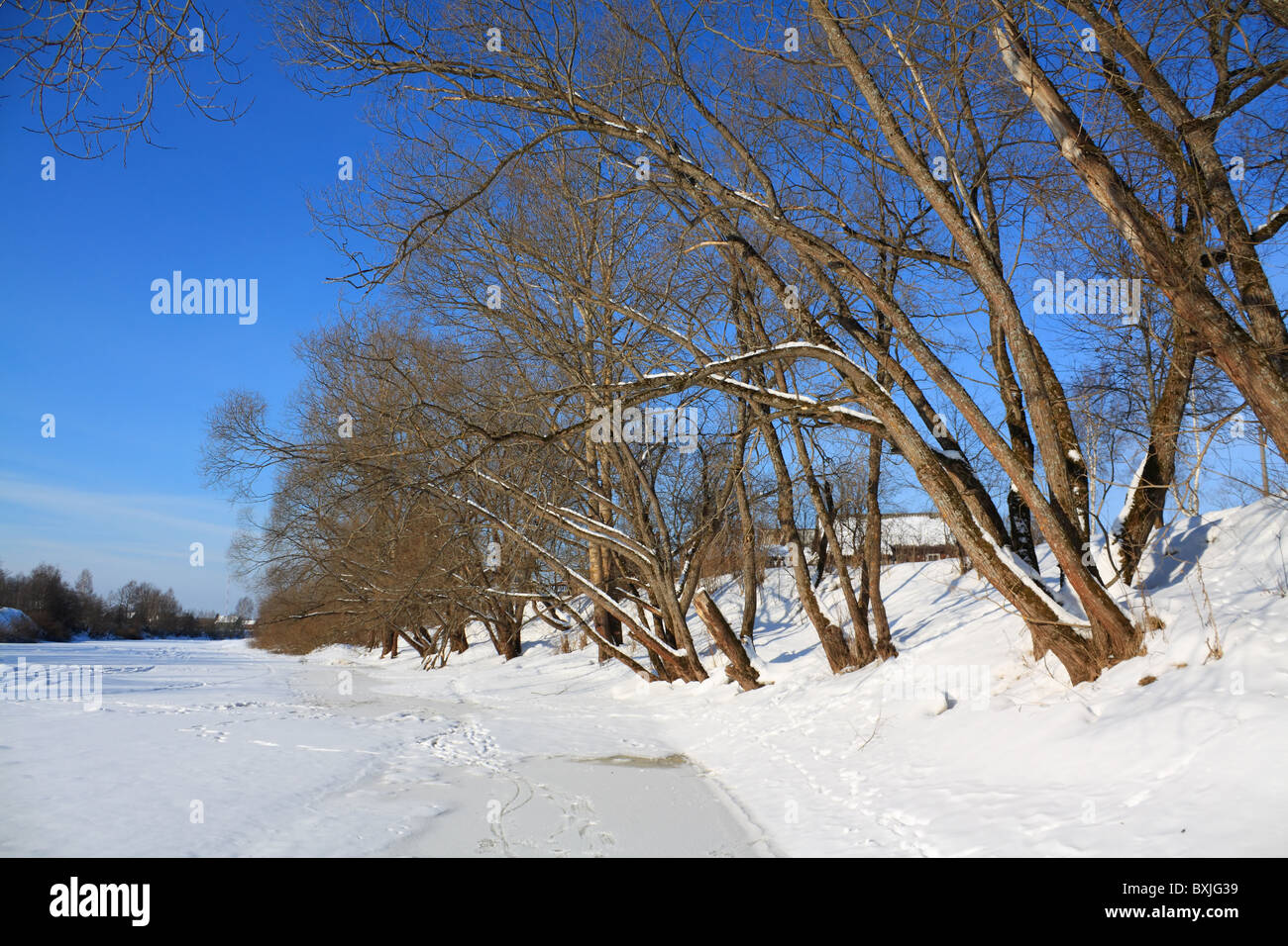 Alder tree river hi-res stock photography and images - Alamy