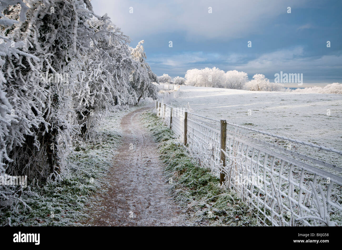 Frosty winter landscape, Haresfield Beacon, Gloucestershire, Cotswolds ...