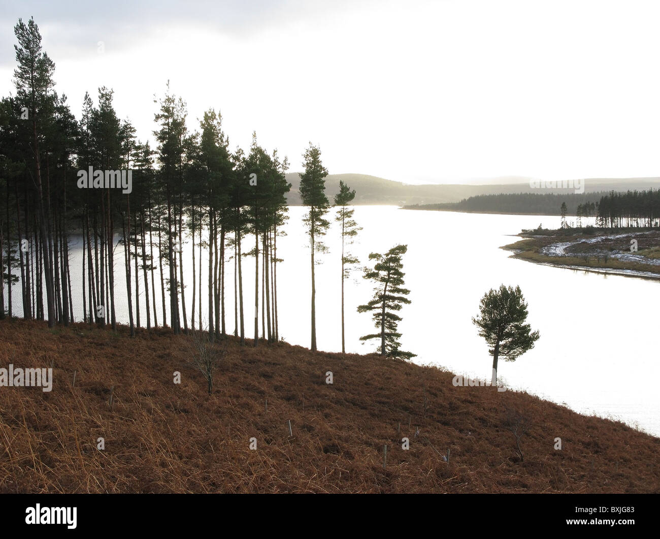 Kielder water winter hi-res stock photography and images - Alamy
