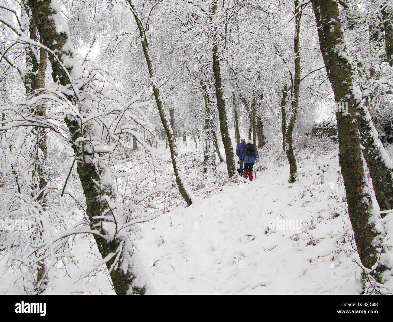 Falstone trail hi-res stock photography and images - Alamy