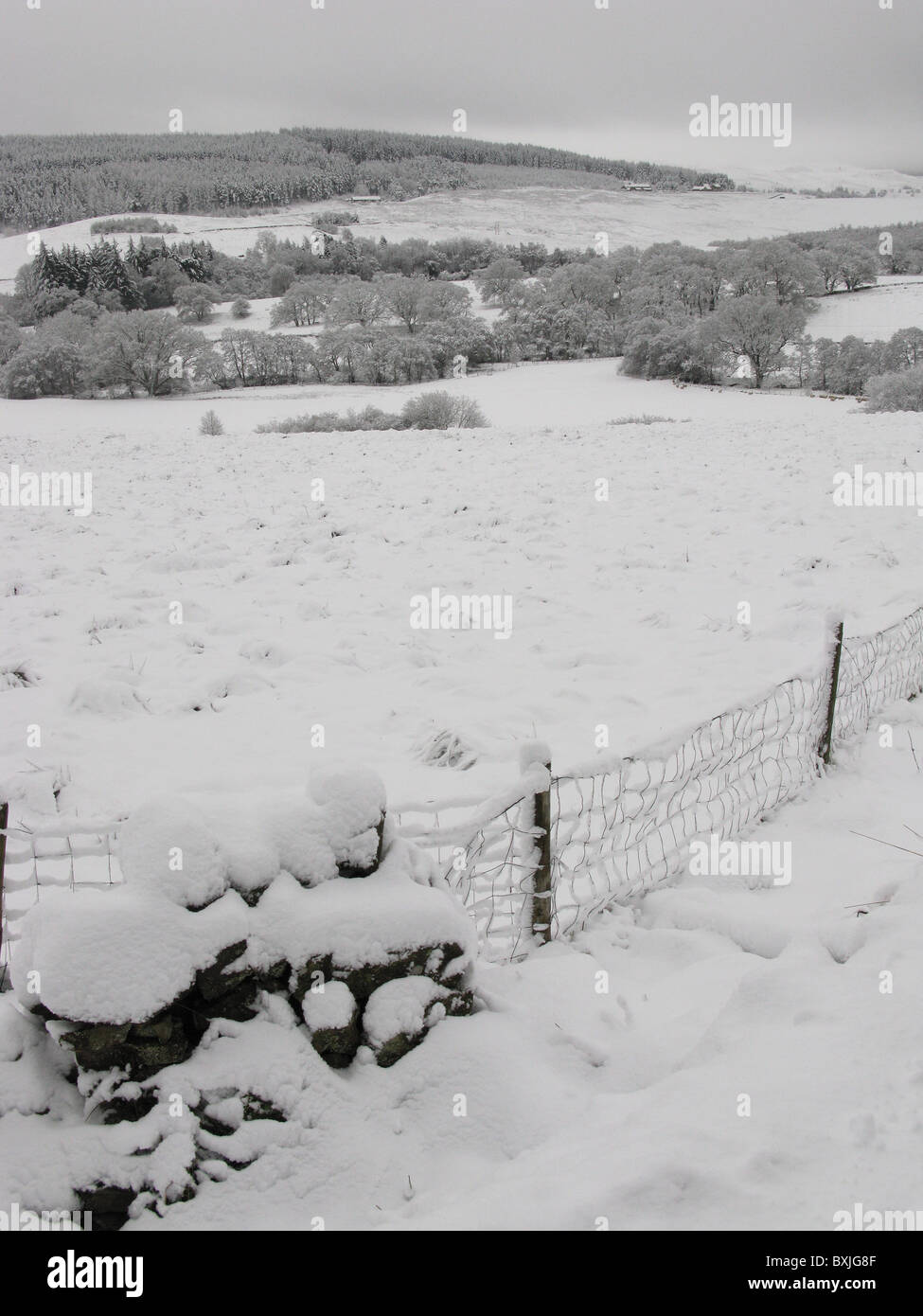 Kielder forest northumberland snow hi-res stock photography and images ...