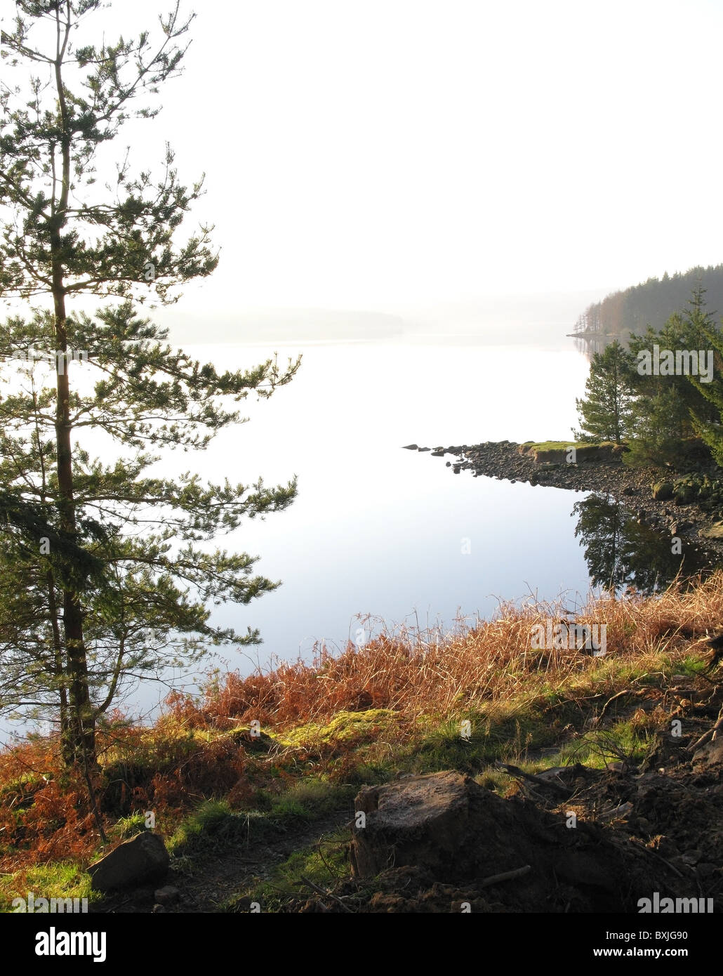 Kielder water dam view hi-res stock photography and images - Alamy