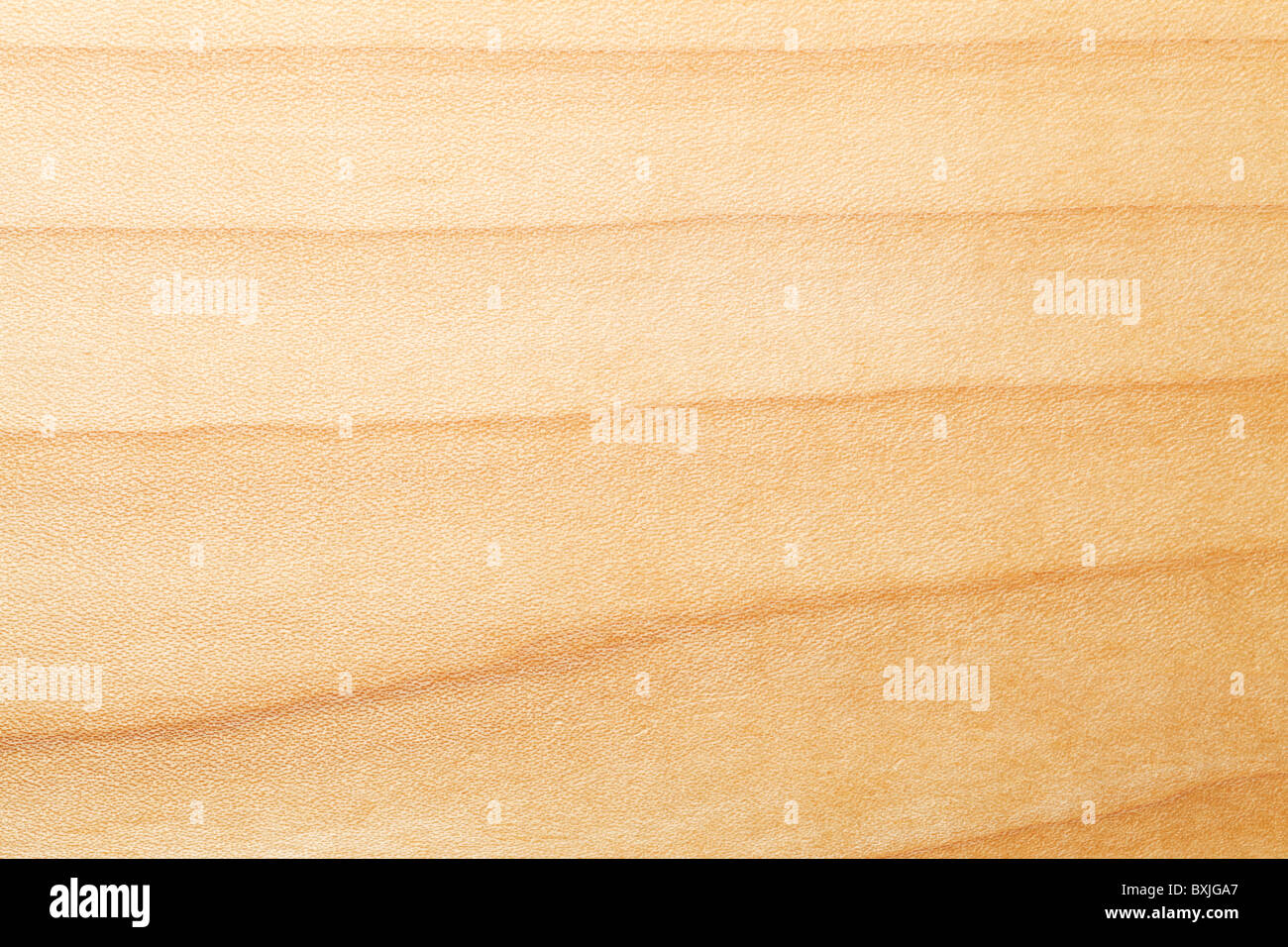 Acer / maple wood texture Stock Photo - Alamy