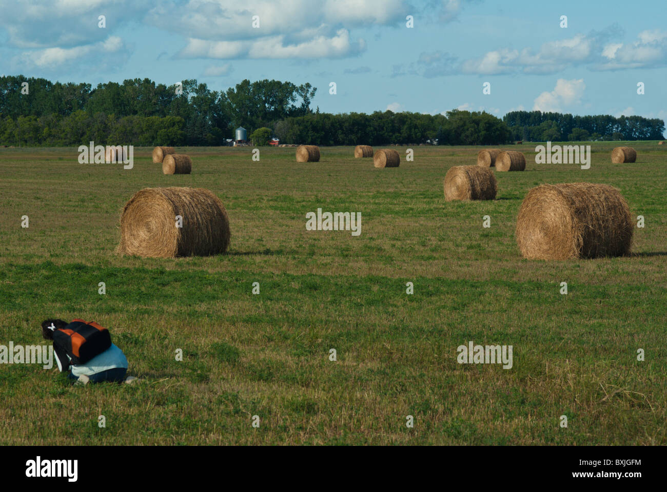 Neepawa Manitoba Canada Stock Photo - Alamy