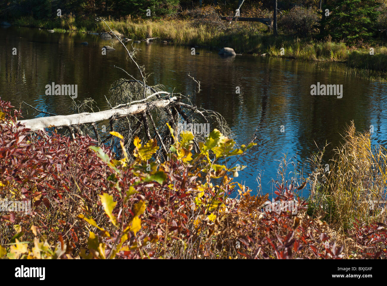 Whiteshell Manitoba Canada Stock Photo - Alamy